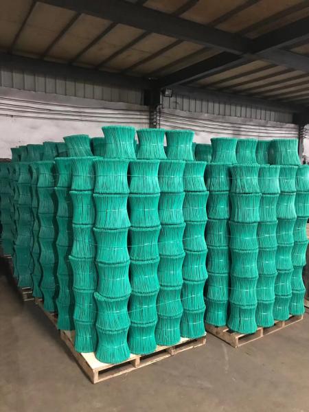 Quality 20ga 21ga 22ga Electro Galvanized Steel Wire Cold Drawn Ss Wire for sale