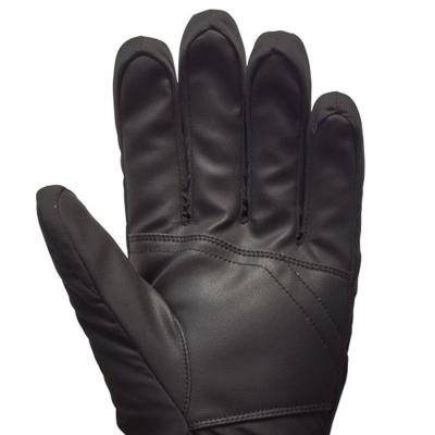 Cina Unità di elaborazione di cuoio 3M Insulation Membrane di ISO9001 Ski Gloves For Winter in vendita