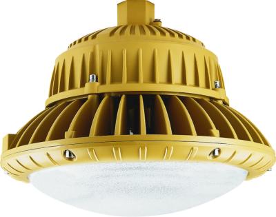 China New-Fbg-120w Exd IIC T6 Gb Explosion Proof Led Light Fixture For Dangerous Area for sale