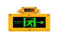 China Automatic Lighting Explosion Proof Emergency Light 0.3S Emergency Start for sale