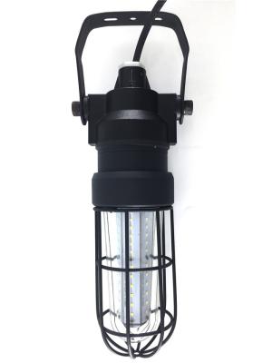 China Bewegliche Hand-LED Glühlampe-Befestigungen HKV-CES-SC30 tragbarer explosionssicherer LED-Leuchte- zu verkaufen