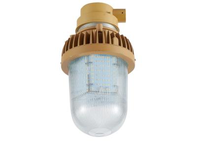China Gas Station 50W Explosion Proof Fluorescent Lighting Floodlight High Light Efficiency for sale