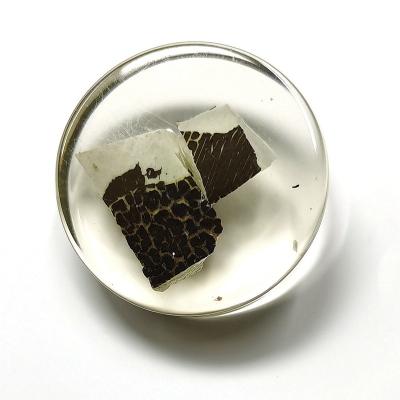 China Transparent Resin Ceramic Fragments Artistic Upcycled Button Collection for sale
