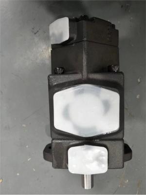 Cina Spostamento positivo Vane Pump PV2R34-116-237-F-RAAA-31 PV2R23-41-116-F-REAA-41 di Yuken in vendita