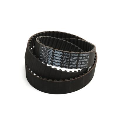 Cina 2010- Year OE NO. K0176124 Timing Component Kits for Haval H5 Fengjun Black King Kong in vendita
