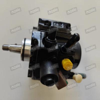 Cina JAC PICKUP T6 Assetto pompa di iniezione del carburante OE numero 1042300FD020 Per sostituzione/riparazione in vendita