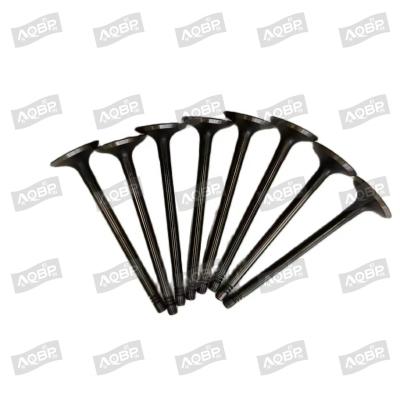 China Shuailing T6 15/04- OE nummer 1003014FD040 Inlaatklep voor 2007- Automotive parts Te koop