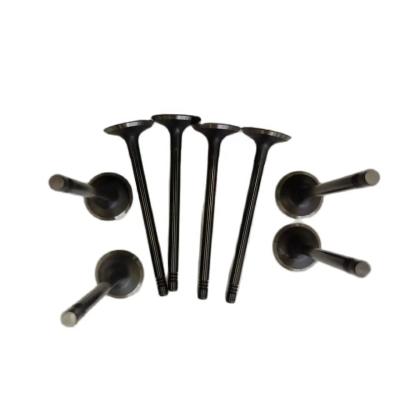 China Shuailing T6 15/04- OE nummer 1003014FD040 Inlaatklep voor 2007- Automotive parts Te koop