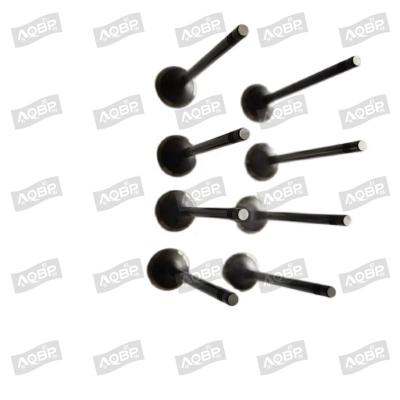 China Shuailing T6 15/04- OE nummer 1003014FD040 Inlaatklep voor 2007- Automotive parts Te koop