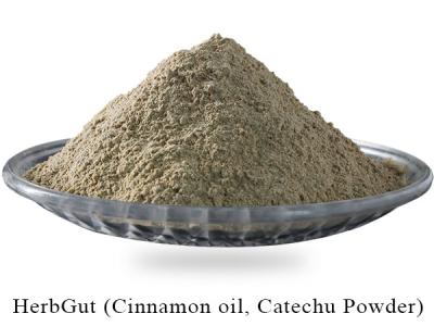 China Premix HerbGut Cinnamon Oil & Catechu Powder for sale