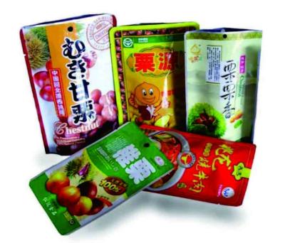 China stand up pouch with zip , standing up zipper pouch for food , food bag onion for sale