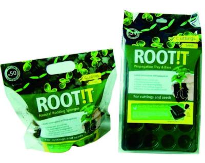 China Stand up zipper pouch , food grade plastic food bags , nuts bag for sale