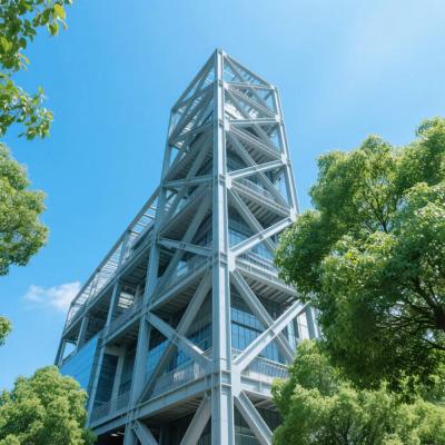 中国 プリファブ 製 鋼製 フレーム 大型金属シェード 工房 建設 販売のため