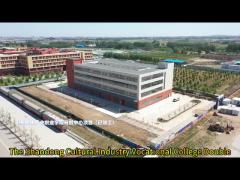 Precast Steel Multi-storey Building Office Teaching Building Metal Frame Constructie