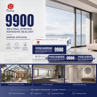 Quality Danling 9900 Professional Adhesive Sealant for Windows Sunrooms Building Sealing for sale