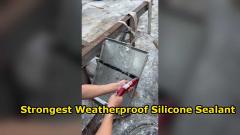9900 Neutral Silicone Sealant Strong Weatherproof Bonding