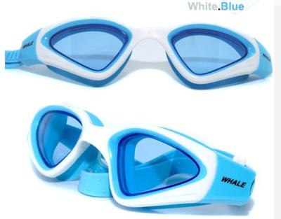China Blue Adult Silicone Swimming Goggles with fast adjust strap system for sale