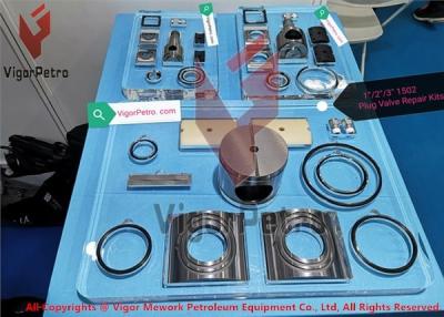 China SPM / FMC Plug Valve Repair Kits 2" Fig 1502 Female x Male 15000PSI Standard Service,  PN 4L11982 for 1A14487 (3247527) for sale