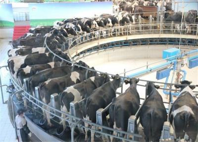 China De Yoghurtproductielijn 1000L 2000L 3000L van Griekenland voor Chemische Industrieel Te koop