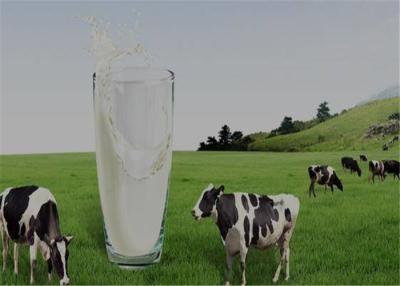 Cina Facile azioni la linea di produzione del yogurt bottiglia di plastica di affari per la pianta in vendita