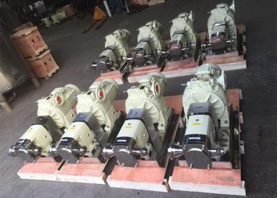 Cina 380V 50HZ pompa a ingranaggi positiva di grande viscosità del lobo della pompa del commestibile di 3 fasi in vendita