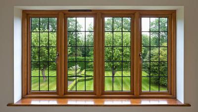 Fenêtres et portes en acier élégantes et polyvalentes pour les espaces de vie modernes - Mur-rideau en verre