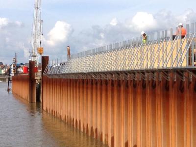 China Vertical Interlocking System Steel Sheet Piles Hot Rolled Cold Formed for sale