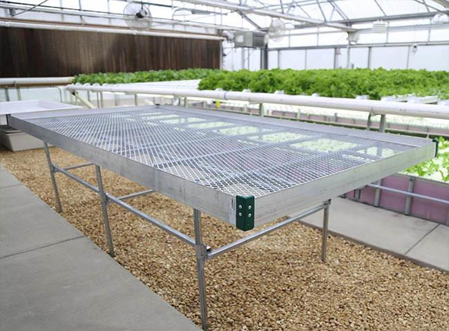 Expanded Metal for Greenhouse Shelves, Benches Top Panels 