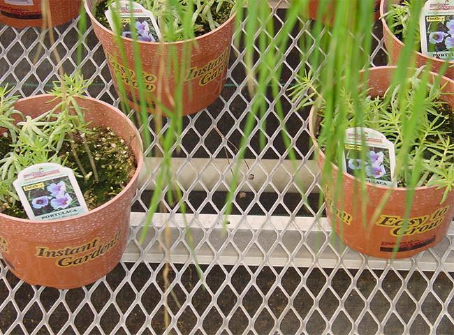 Expanded Metal For Benches Seedbed Net