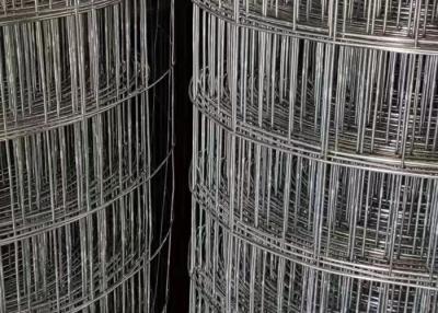 China Stable Easy Installation Gridwall Welded Woven Wire Mesh Panels In Plaster Applications for sale