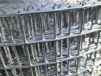 China 2.5-25cm Mesh Size Skilled Welding Woven Welded Wire Mesh Wire Diameter 1mm-10mm for sale