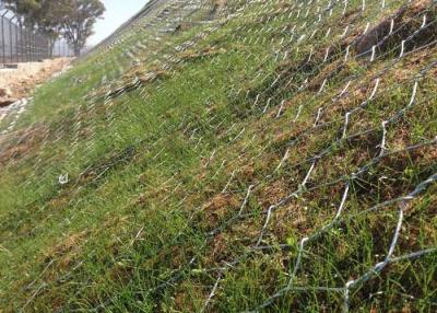 China Landscaping Creation And Erosion Control Solution For Slopes for sale