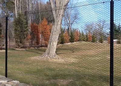 China Metal Hexagrid Fencing, Hexagonal Mesh , 6 X 150 Feet for sale
