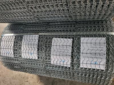 China Hot Dipped Galvanized Coating Pipeline Reinforced Mesh Astm A185 Implementation Standards for sale