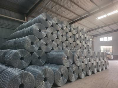 China Hot Dipped Galvanized Pipeline Reinforced Mesh Anti Corrosion Heavy Duty for sale