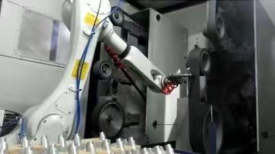 China Zinklegeringsrobot RD-001 voor consistente slijpprestaties Te koop