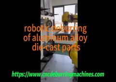 380V Robotische ontblaasmachine voor het verwijderen van flitsen voor aluminium en zinklegeringen
