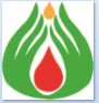 Jiangsu Hanlin Pharmaceutical Packaging Technology Co.,Ltd
