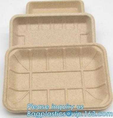 China corn starch biodegradable meat tray corn starch dinnerware sets  biodegradable cake tray Rectangular Tray Paper Food Tra for sale