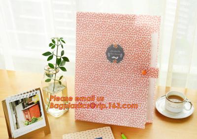 China Promotional plastic PP waterproof paper files folder a4, Stylish PP a4 file folder, A4 felt document bag file folder for sale