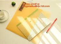 China PP Polypropylene Plastic Office Stationery, PP Translucent plastic button document file folder bag with line structure for sale
