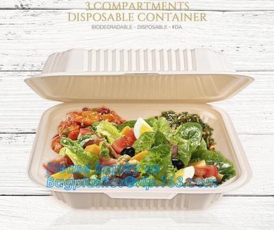 China Disposable corn starch bento lunch box takeaway food container,take away box PLA PP mixed biodegradable corn starch food for sale