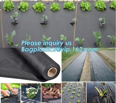 China best quality agricultural weed barrie,UV stable Polypropylene woven fabric weed barrier,maintenance free anti weed mat, for sale