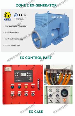 China Offshore platform ATEX Zone 2 32kw 40kva zone1 explosion proof diesel generator set DNVGL 2.7-1lifting frame for sale