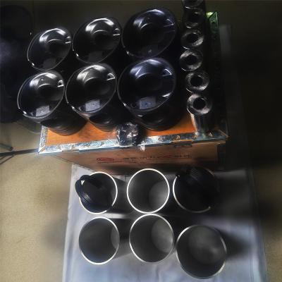 China Top- Engine Overhaul Kits Weichai Power Wp10 Part No. 612600900079 Other Car Fitment for sale
