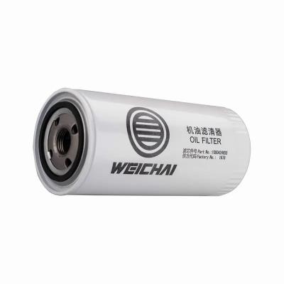 Cina 1001562599A 1001910416A Filtro diesel per motore Shacman Weichai WP2.3 4M06G in vendita