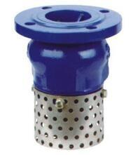 China 2 Inch Foot Valve Check Valve Flanged End Connection DI CI Bonnet for sale