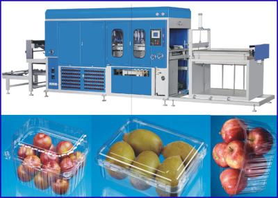 China Máquina plástica de Thermoforming del vacío de la venta caliente para la eficacia alta de los envases de comida en venta