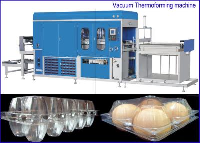 China Máquina plástica automática de Thermoforming del vacío para las bandejas del huevo/la eficacia alta en venta