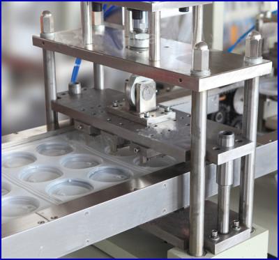 China Máquina plástica automática de Thermorforming de la hoja de los PP de la tapa tranparent de la taza para la venta en venta